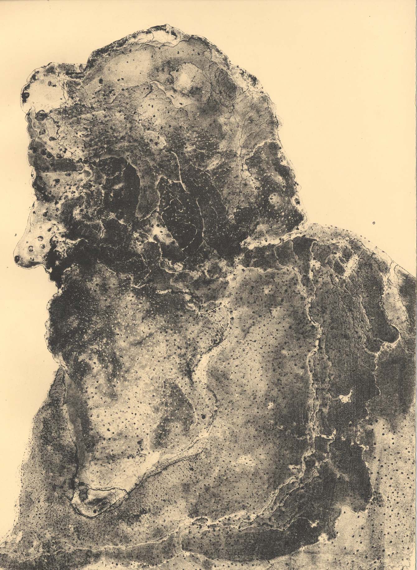 Lithographs - Ben Carollo