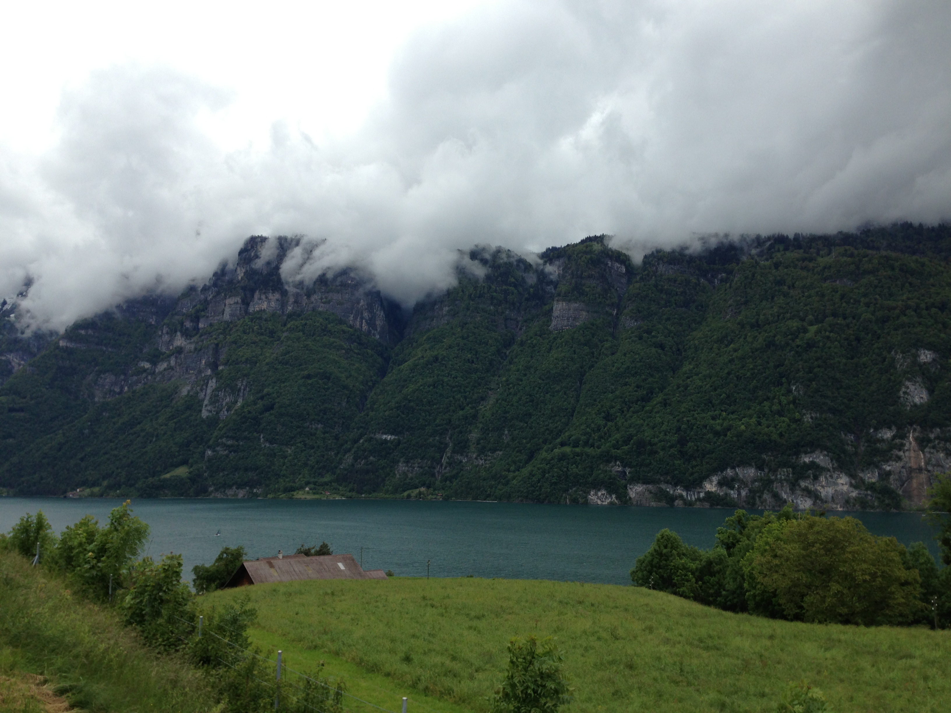 Photographic Reference - Ben Carollo