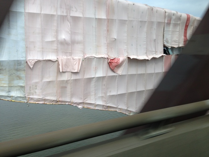 Photographic Reference - Ben Carollo