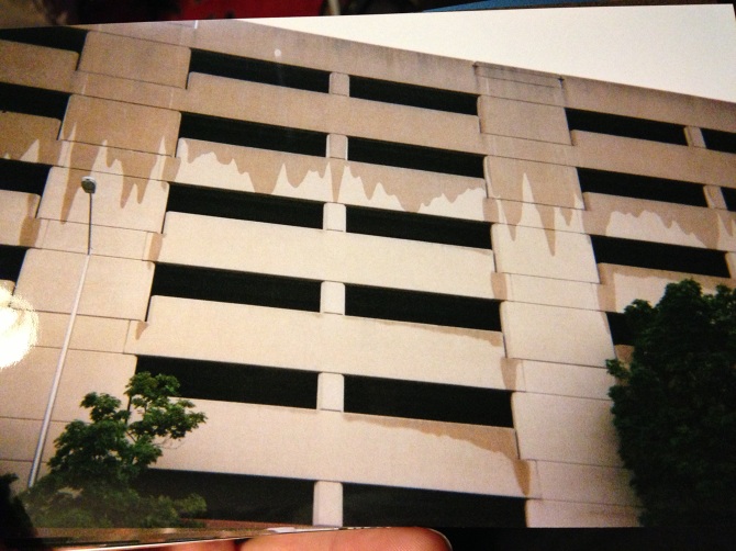 Photographic Reference - Ben Carollo