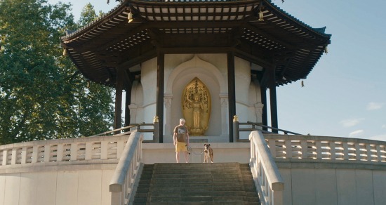 CALM 'Dogs' campaign ad - Zoe Rixon