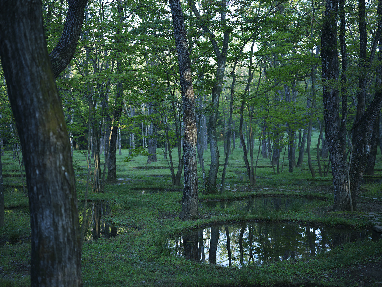 ART BIOTOP 那須 - Rico Okaniwa