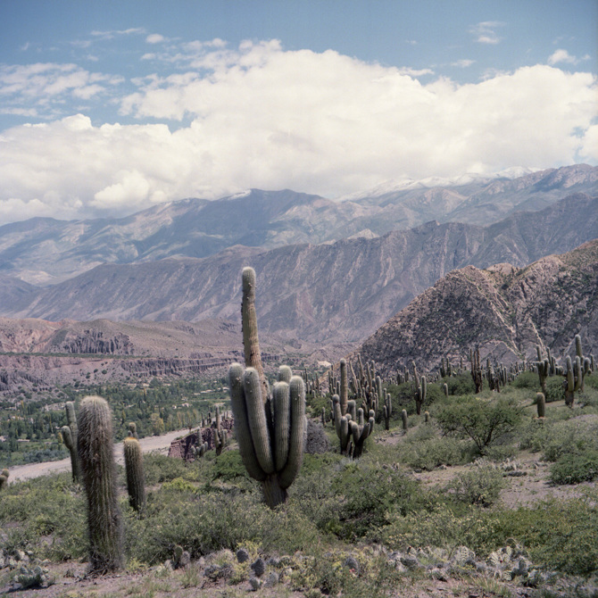 Pacha - German Paley - Photography