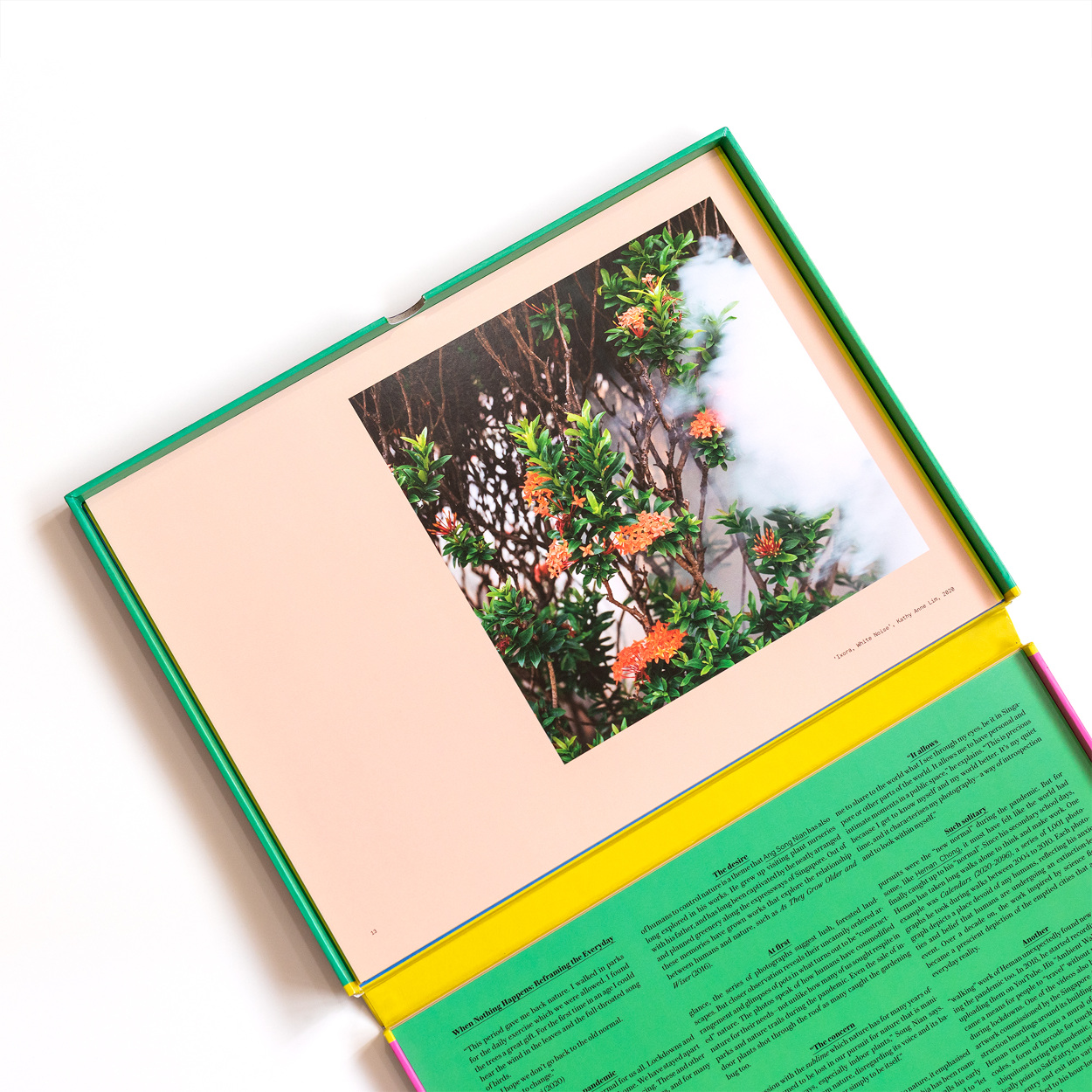 Publications - Kathy Anne Lim