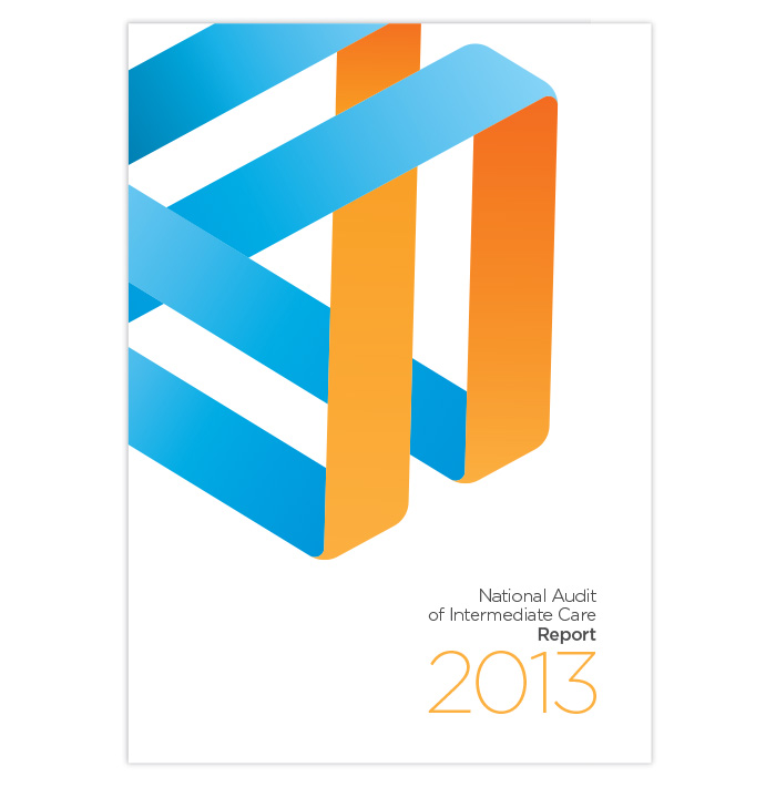 NHS NAIC Report 2013 - Brand Identity for the NHS Benchmarking Seminar ...