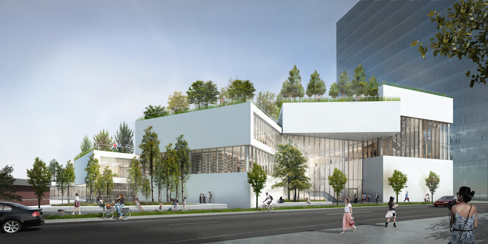 the heights - tony-saba shiber