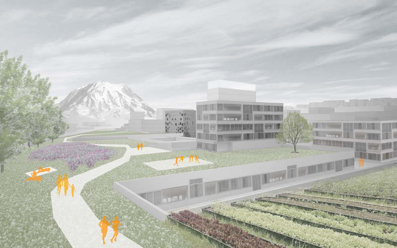 urban patch - tony-saba shiber