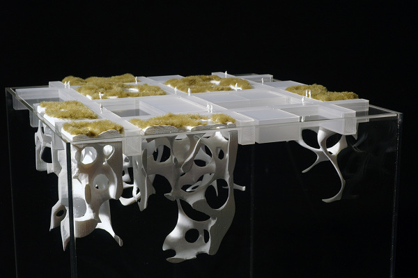 FishWORKS - N.E.E.D. Architecture