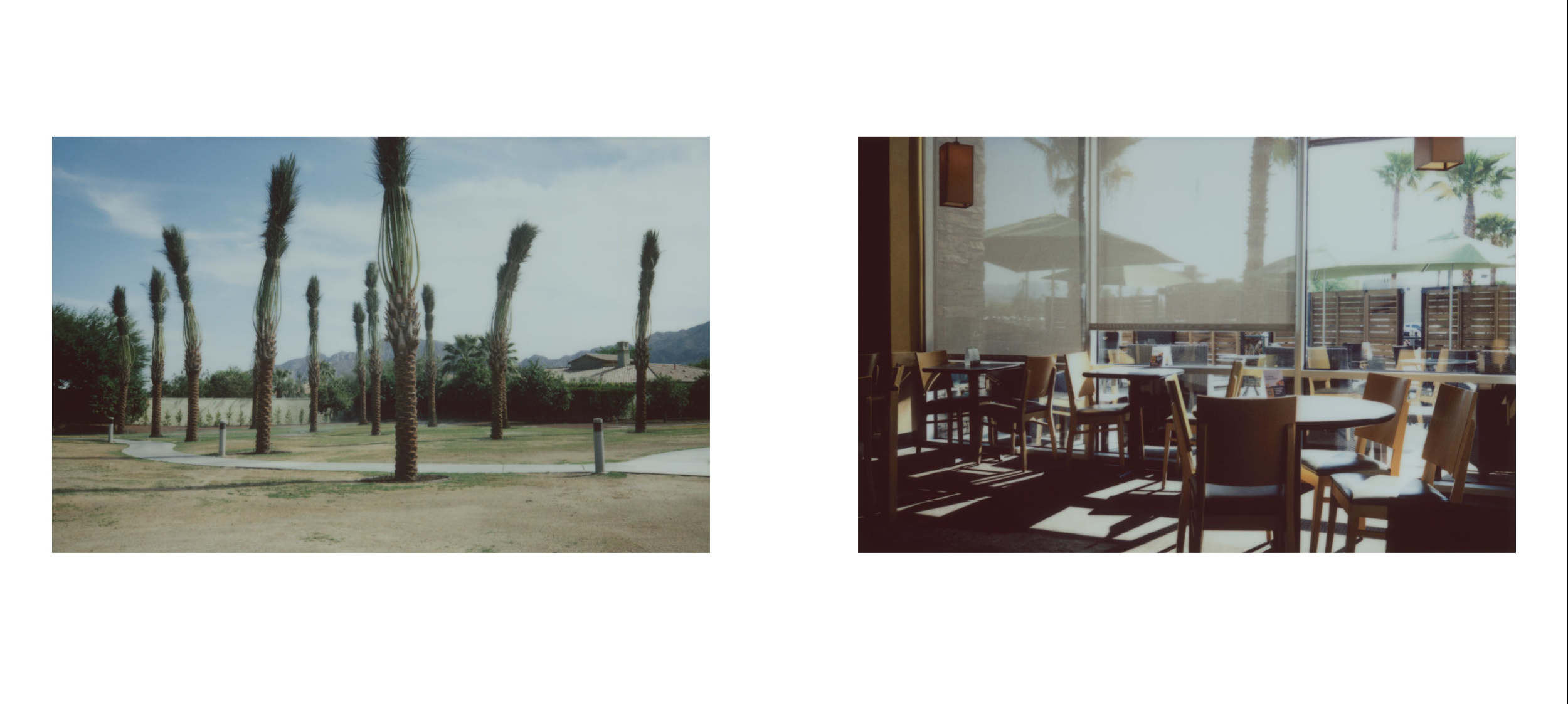 Riviera - John Brian King