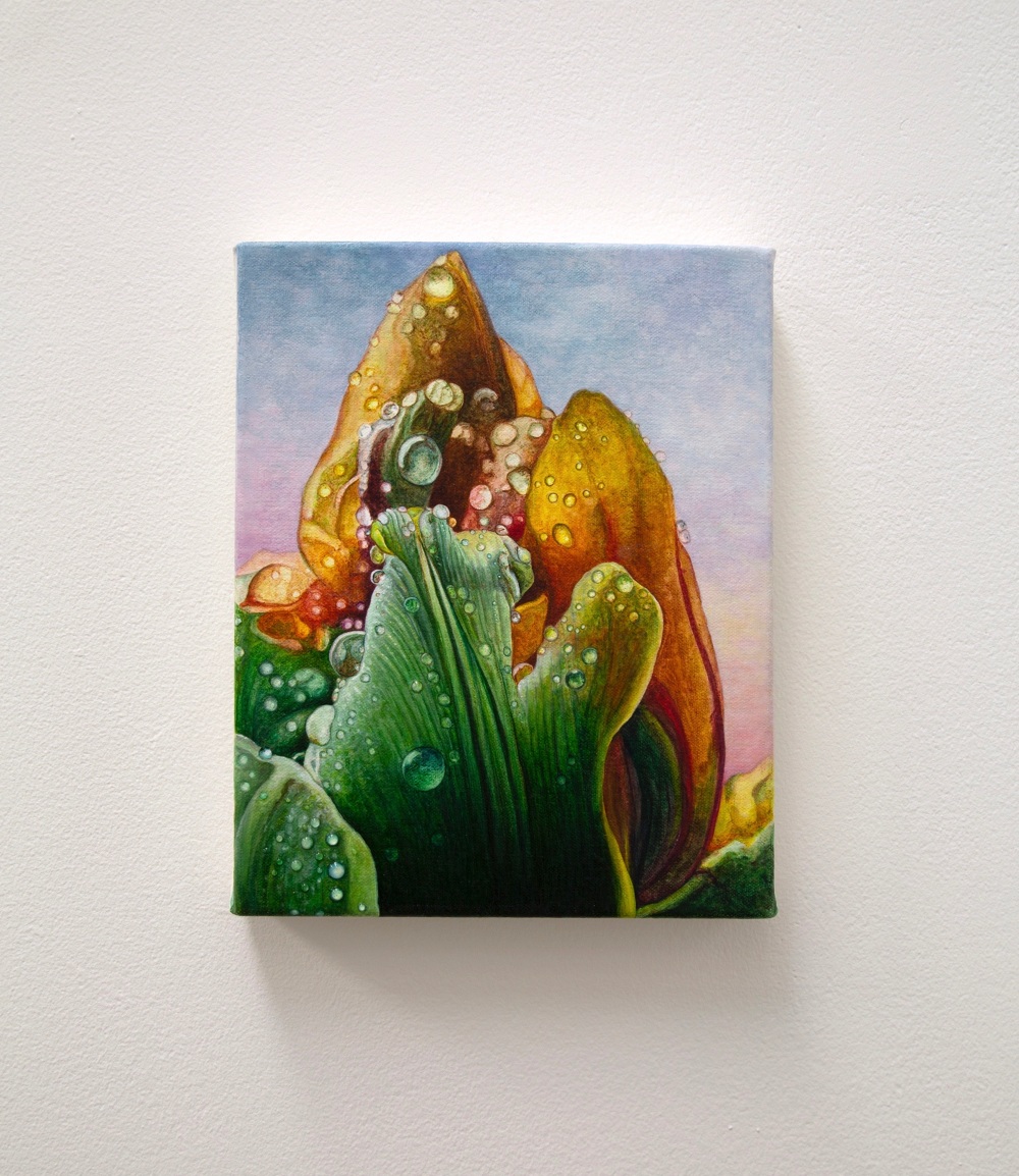 Through Floral Being - Kate Bickmore