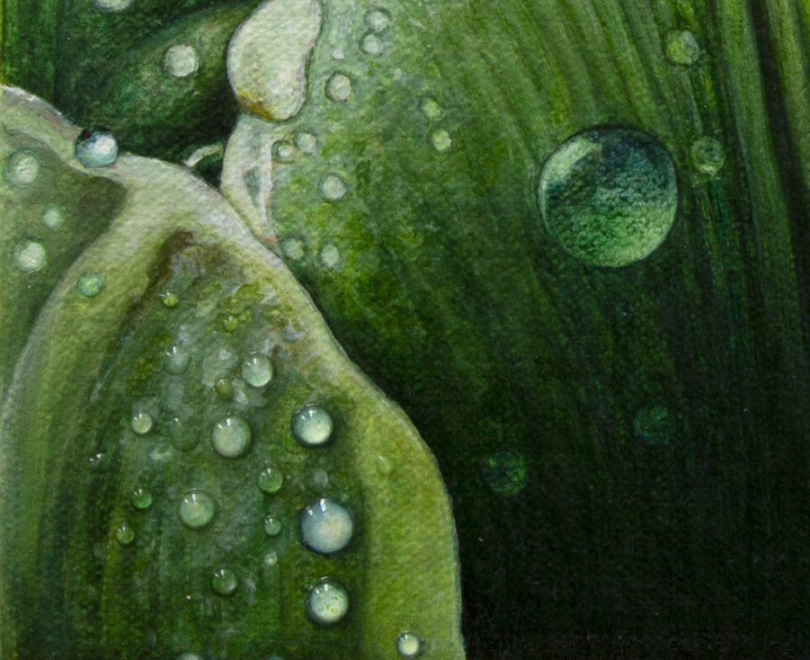 Through Floral Being - Kate Bickmore