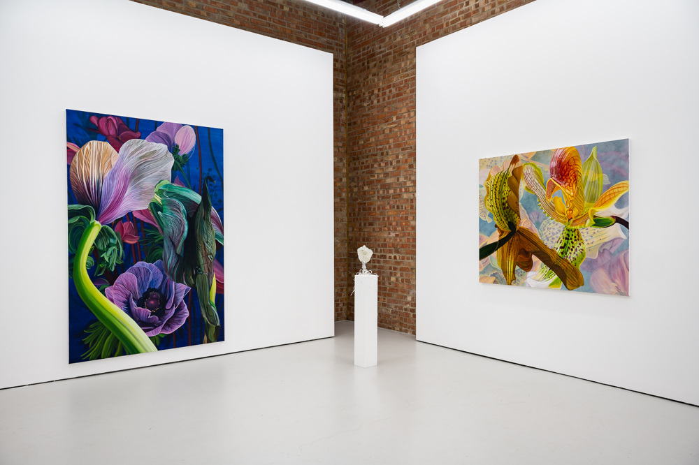 Unfurling - Kate Bickmore