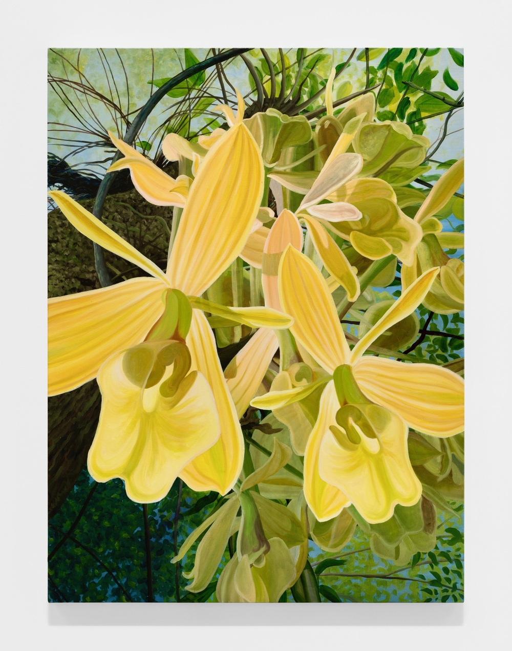 After Rainfall - Kate Bickmore