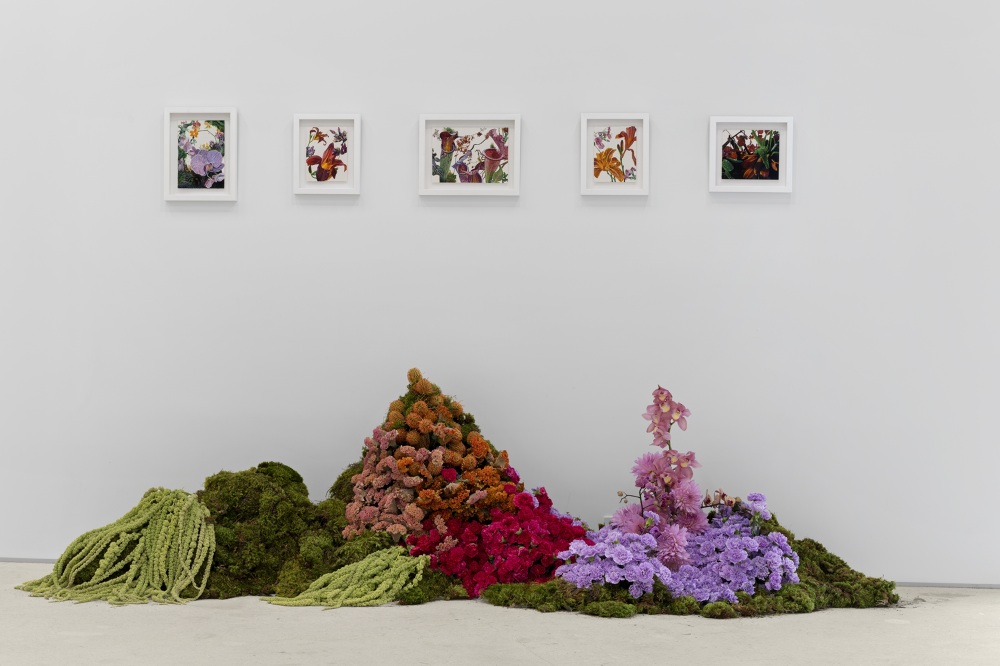 After Rainfall - Kate Bickmore