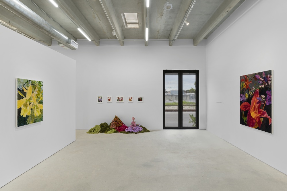 After Rainfall - Kate Bickmore