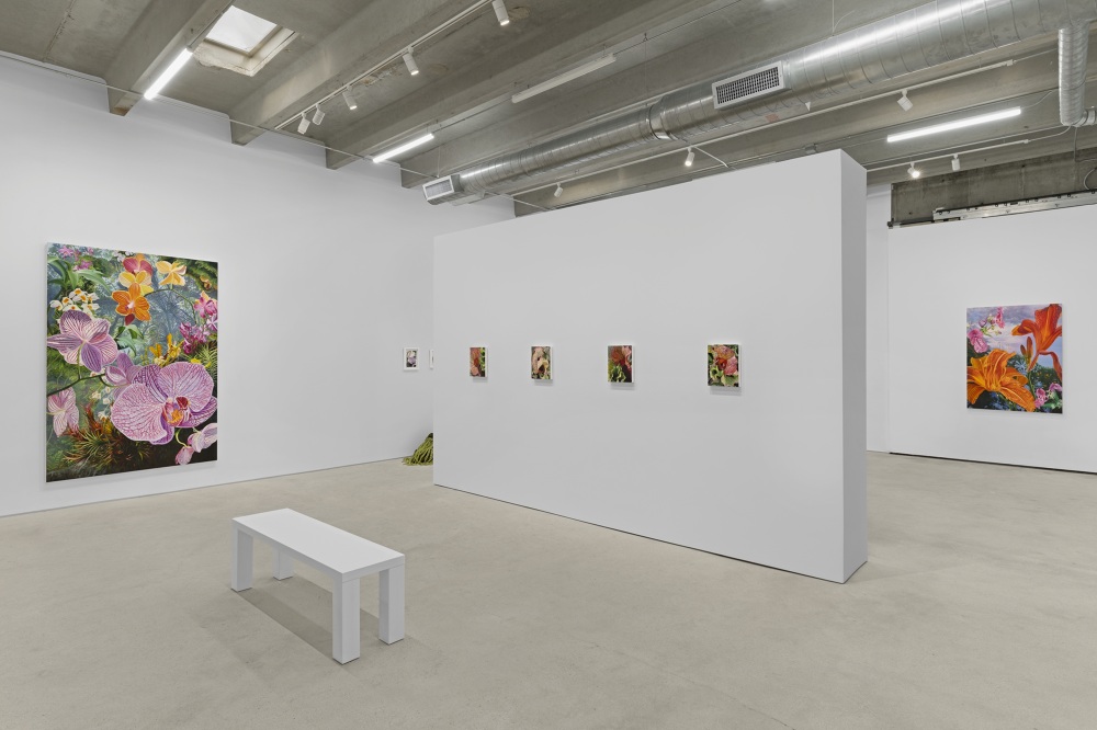 After Rainfall - Kate Bickmore