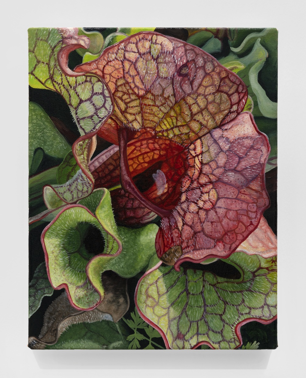 After Rainfall - Kate Bickmore