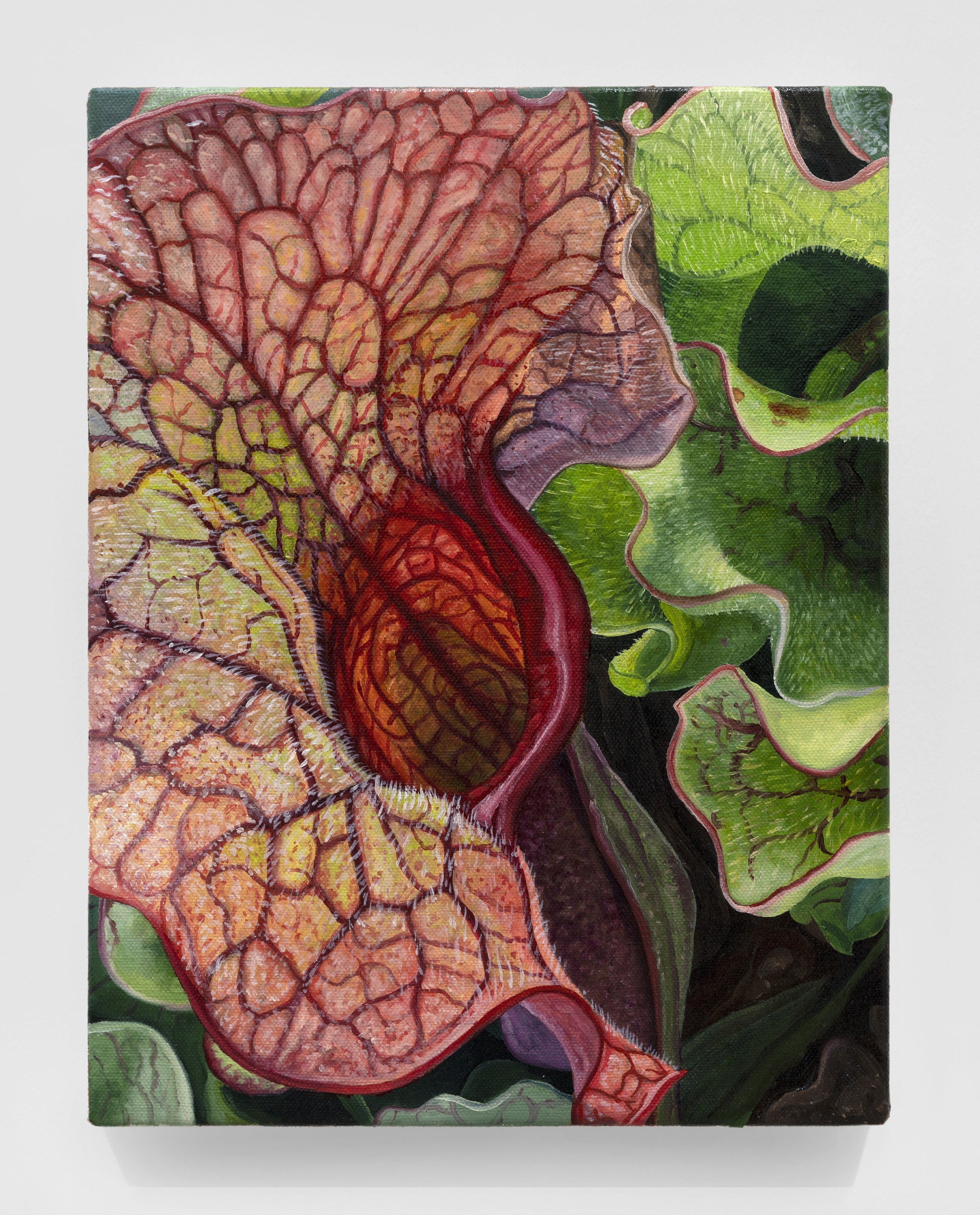 After Rainfall - Kate Bickmore