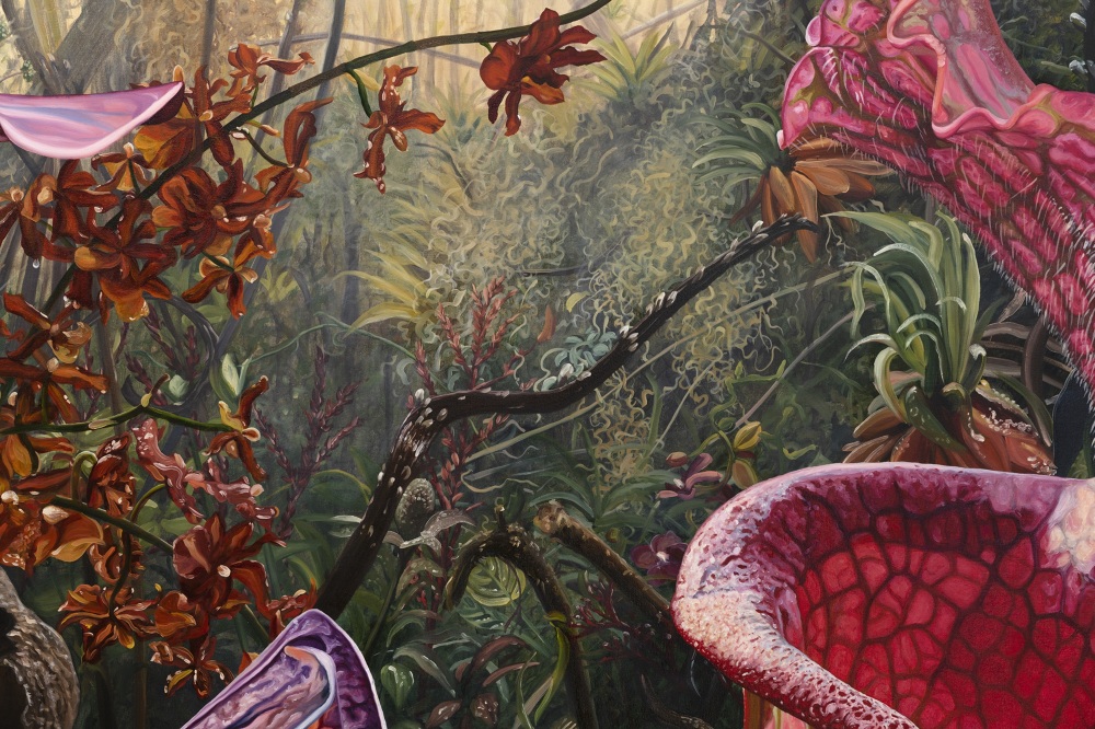 After Rainfall - Kate Bickmore