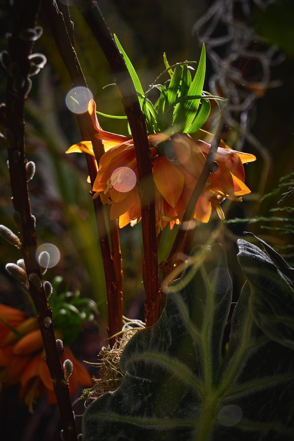 Miami Design District Installation - Kate Bickmore