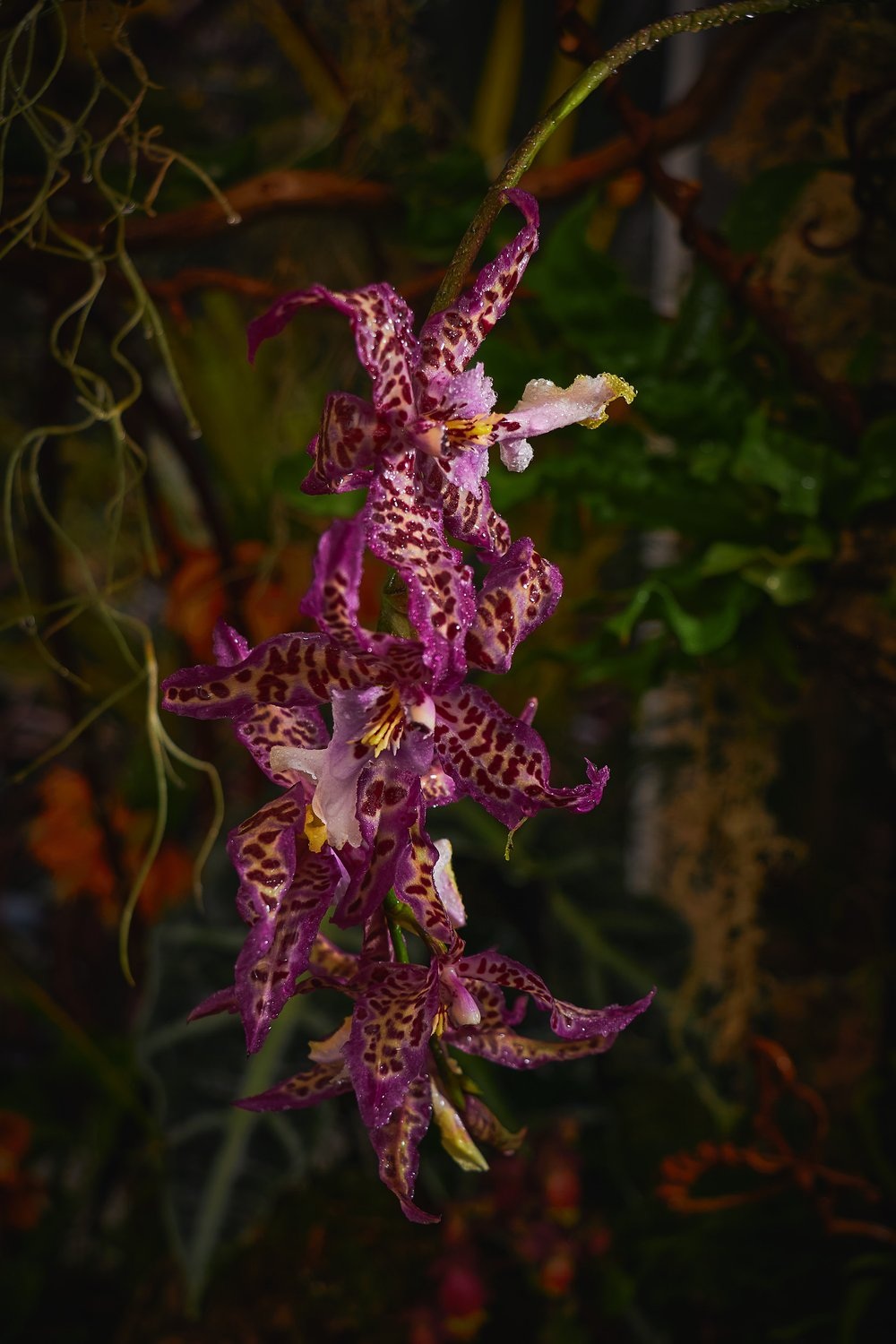 Miami Design District Installation - Kate Bickmore