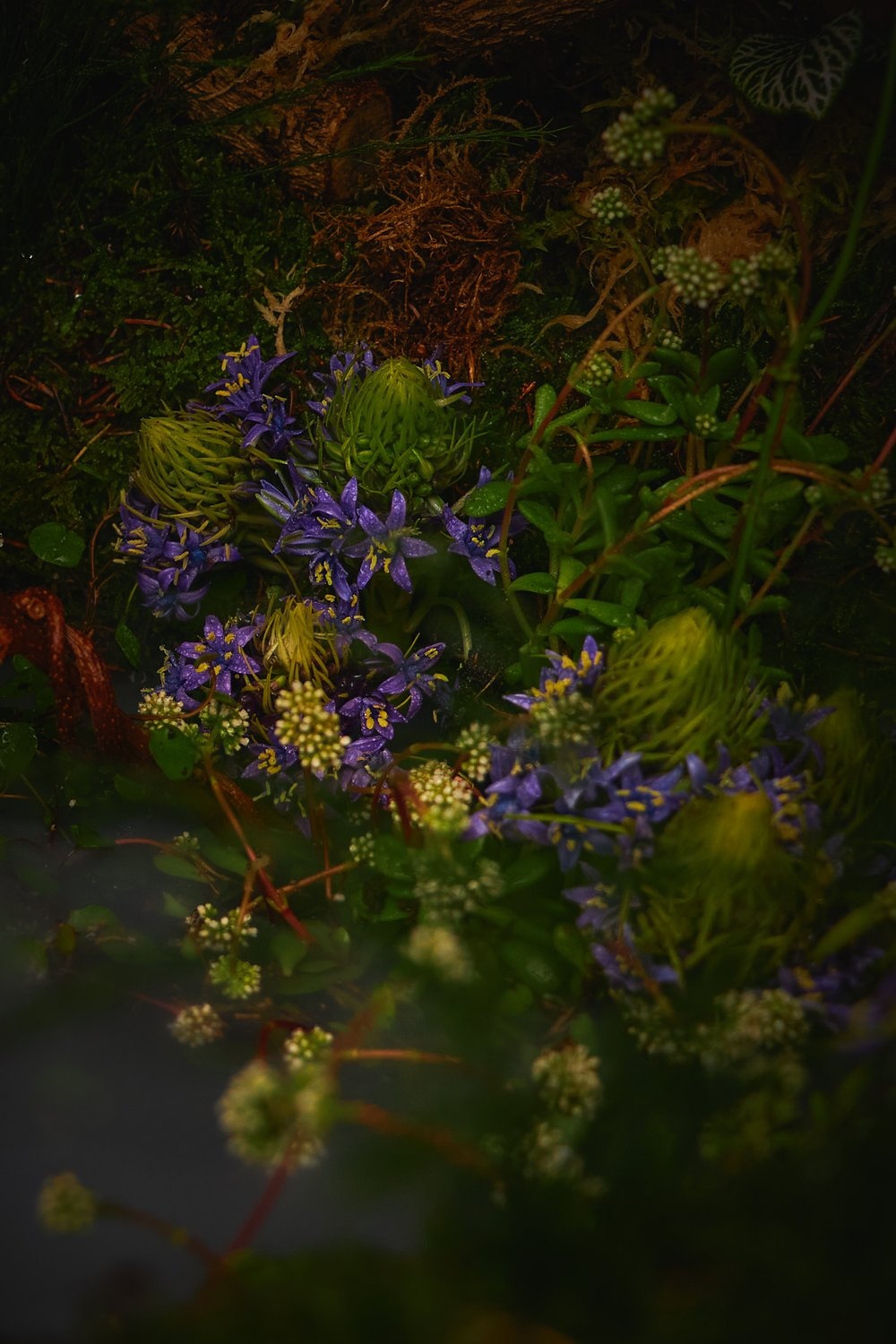 Miami Design District Installation - Kate Bickmore