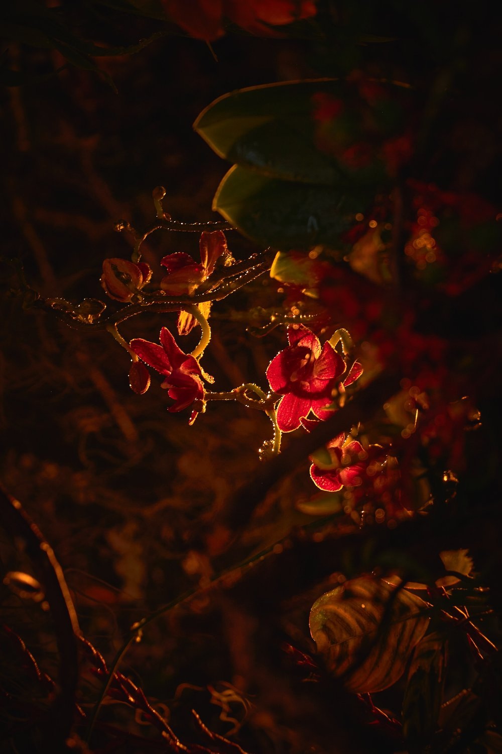 Miami Design District Installation - Kate Bickmore