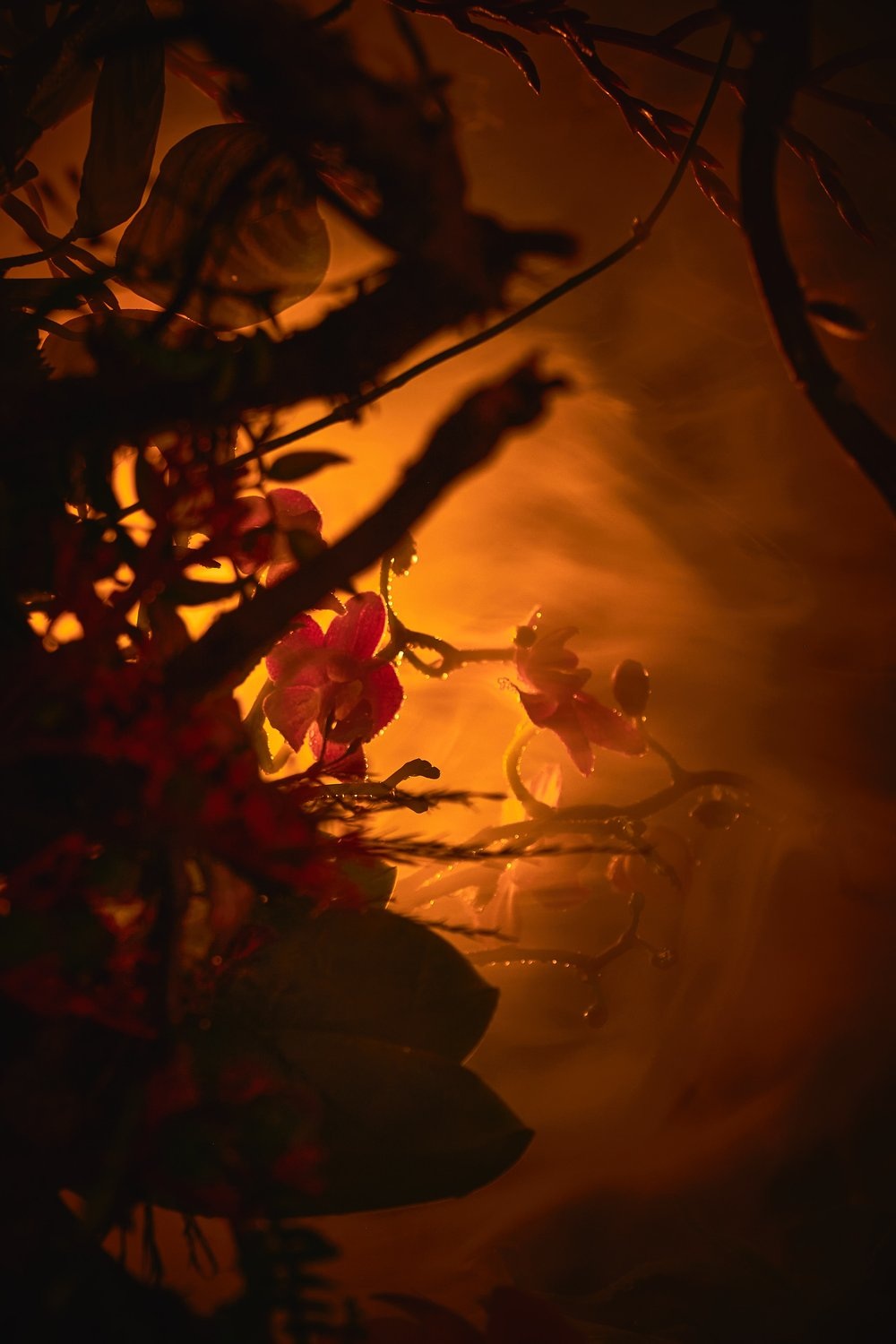 Miami Design District Installation - Kate Bickmore