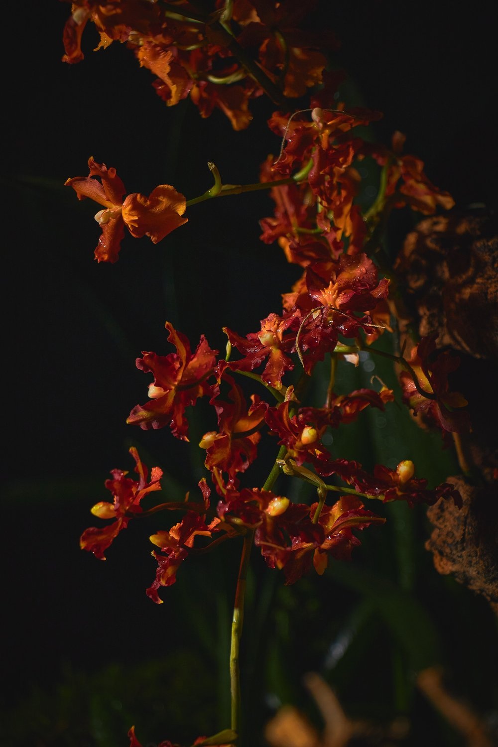 Miami Design District Installation - Kate Bickmore