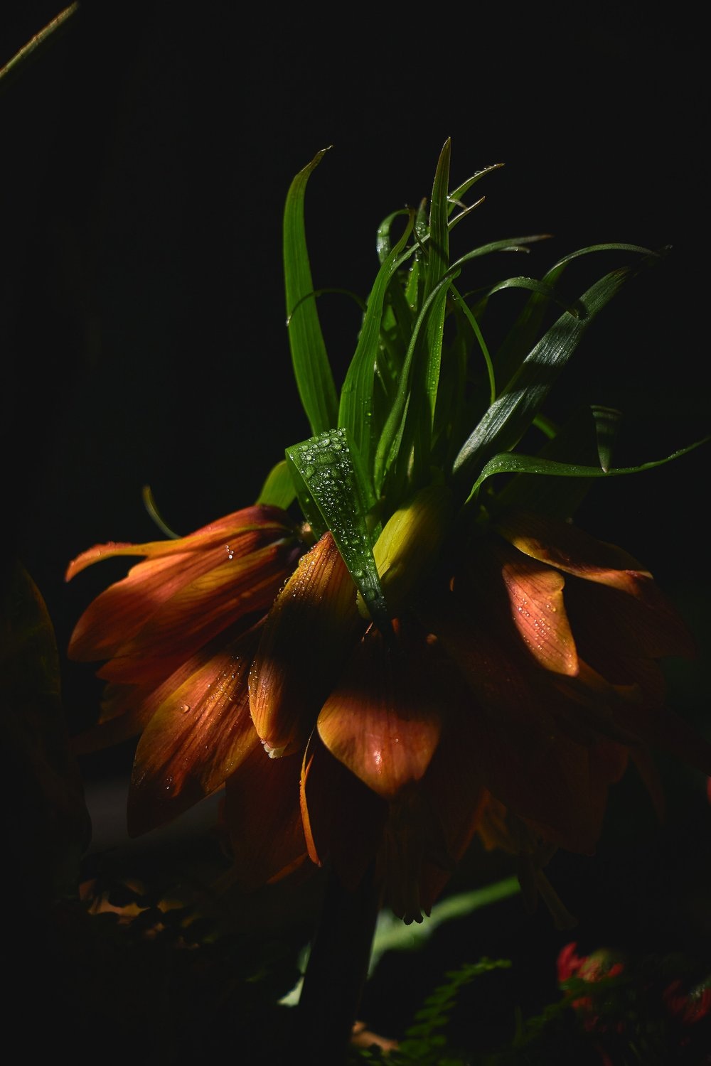 Miami Design District Installation - Kate Bickmore