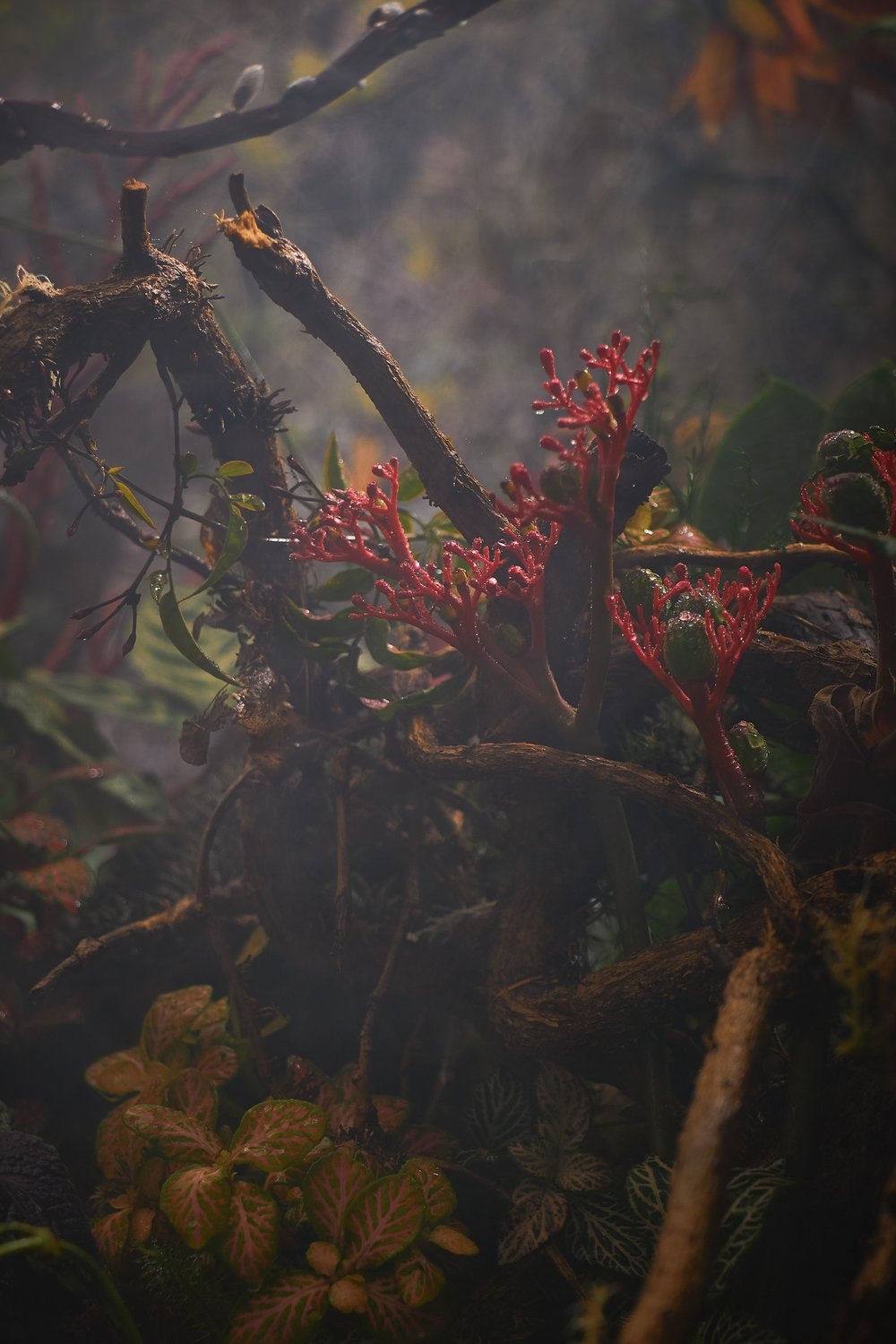 Miami Design District Installation - Kate Bickmore