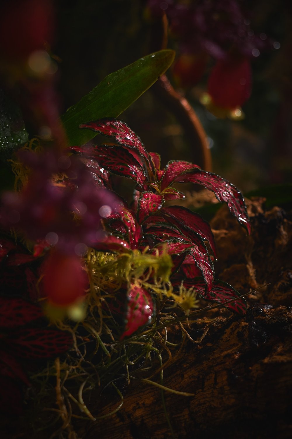 Miami Design District Installation - Kate Bickmore