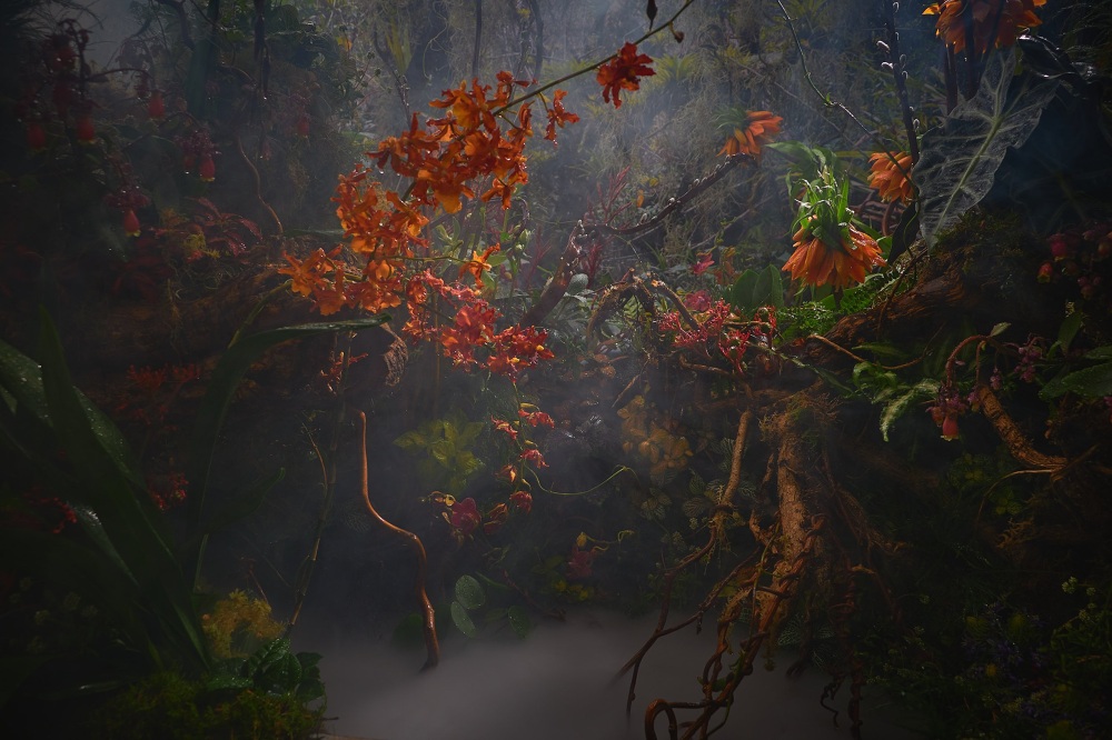 Miami Design District Installation - Kate Bickmore