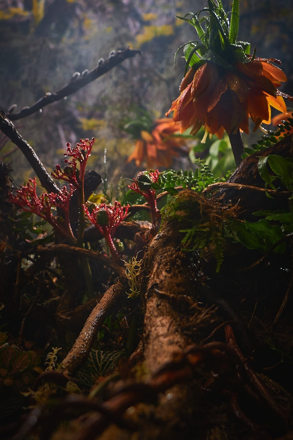 Miami Design District Installation - Kate Bickmore