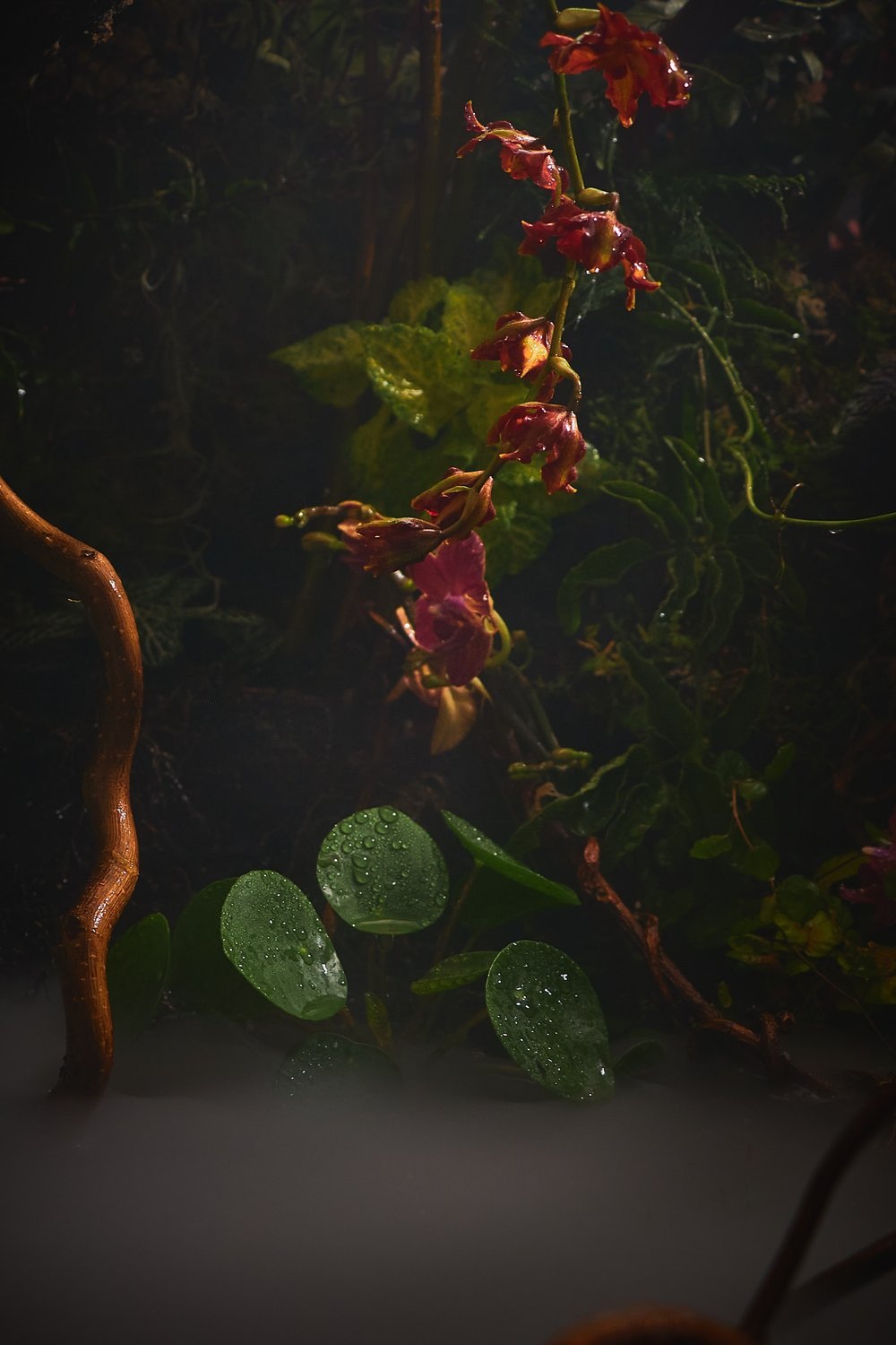 Miami Design District Installation - Kate Bickmore