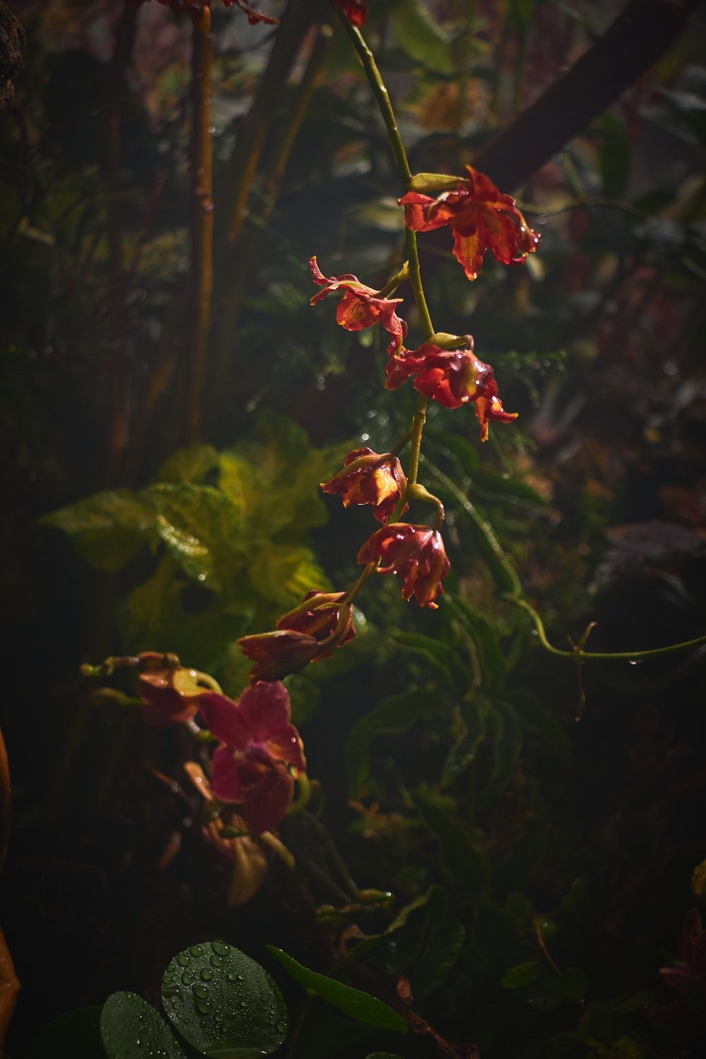 Miami Design District Installation - Kate Bickmore