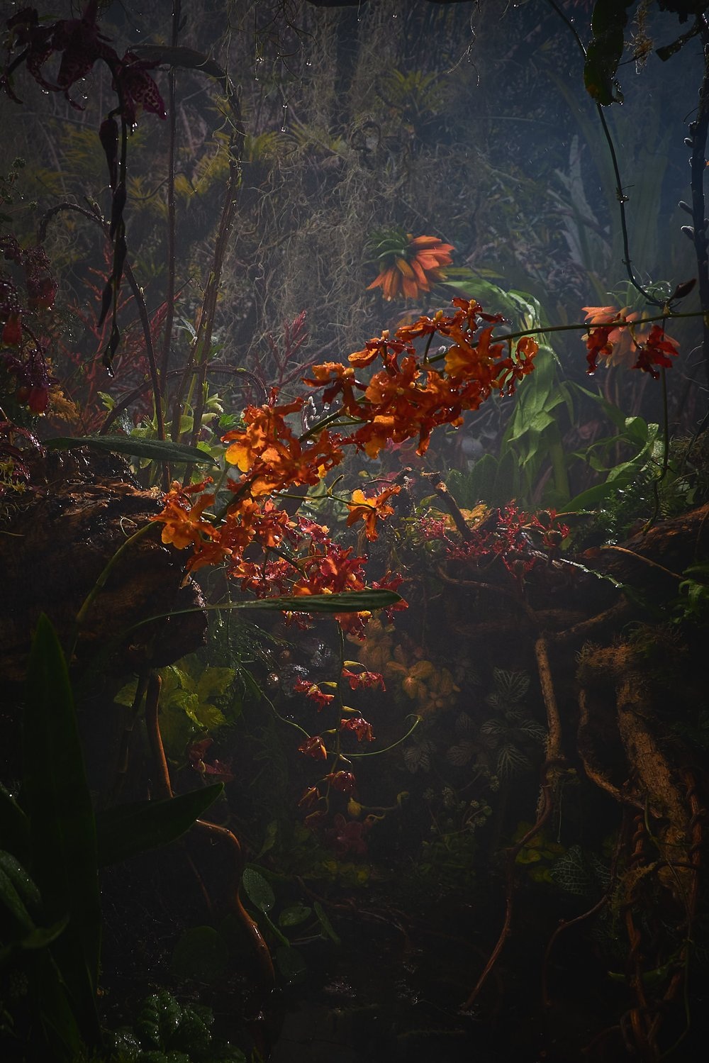 Miami Design District Installation - Kate Bickmore