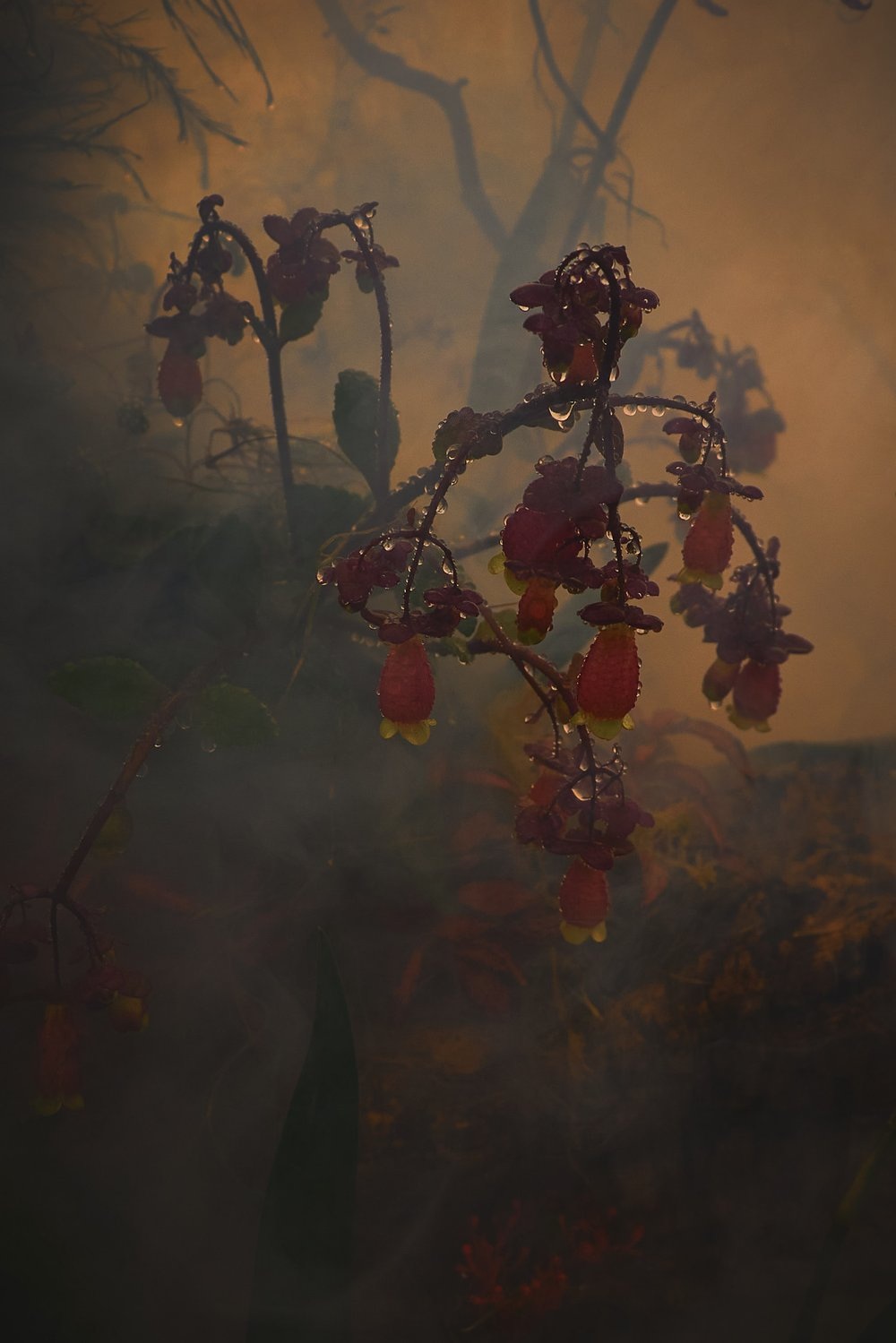 Miami Design District Installation - Kate Bickmore