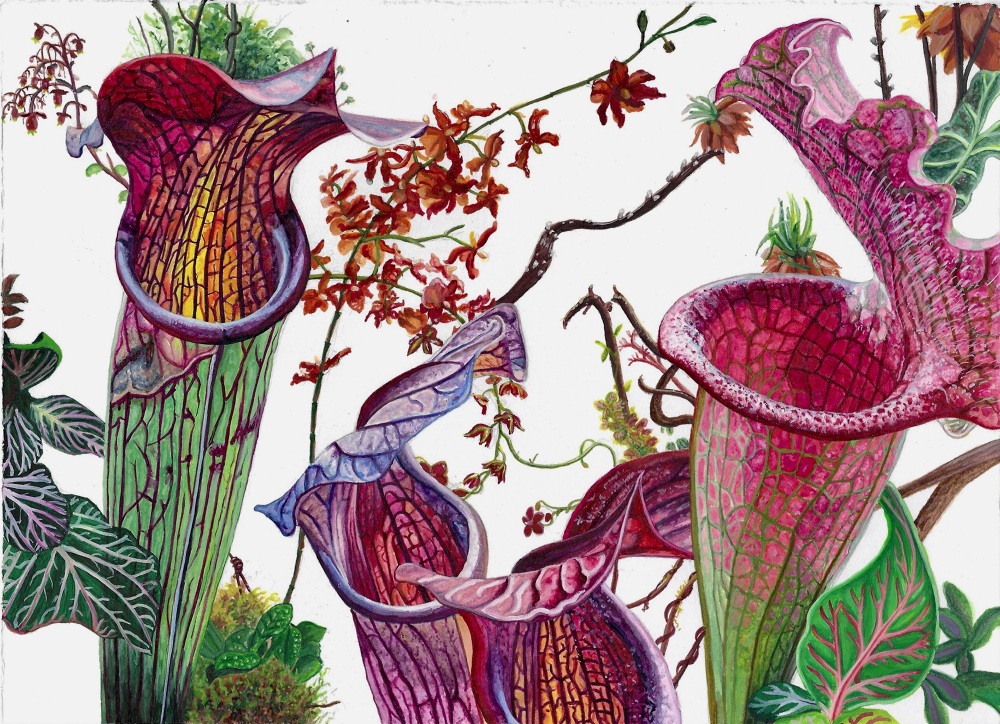 Watercolors - Kate Bickmore