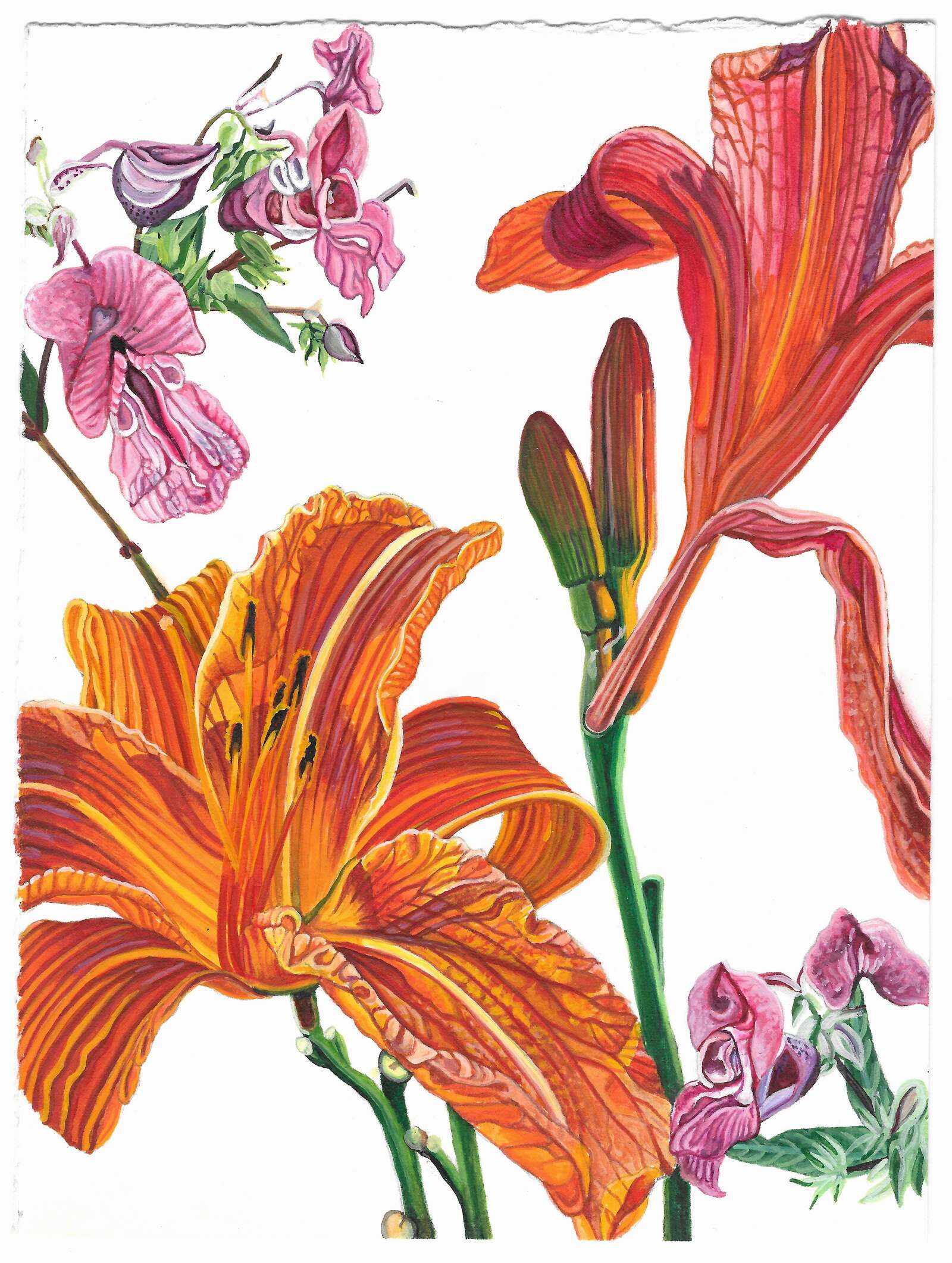 Watercolors - Kate Bickmore