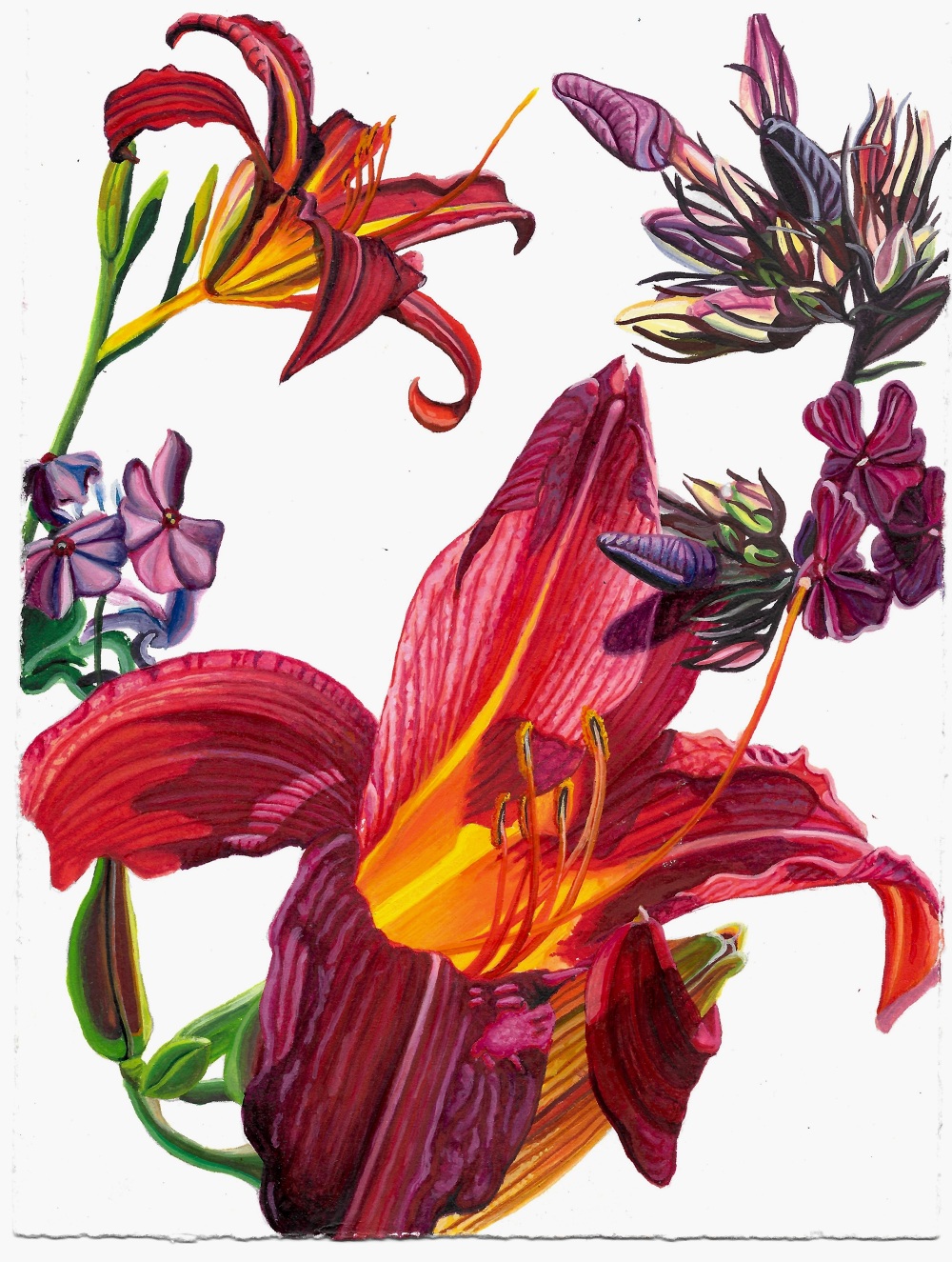 Watercolors - Kate Bickmore