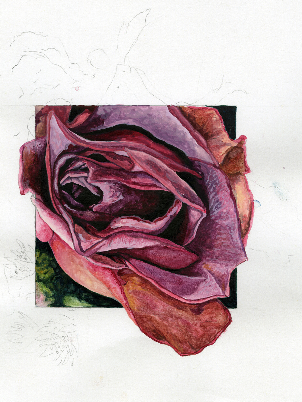 Watercolors - Kate Bickmore