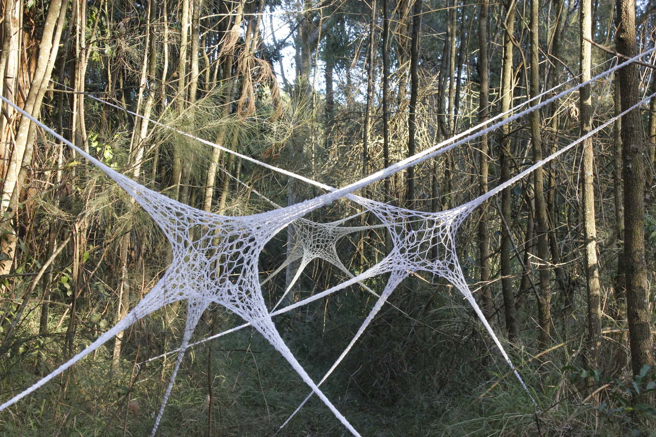 3D Webs 2016 - Louisa Magrics