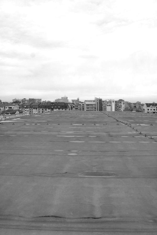 Case Study: SPENS - Sonja Jankov