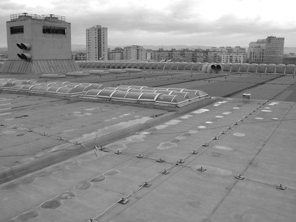 Case Study: SPENS - Sonja Jankov