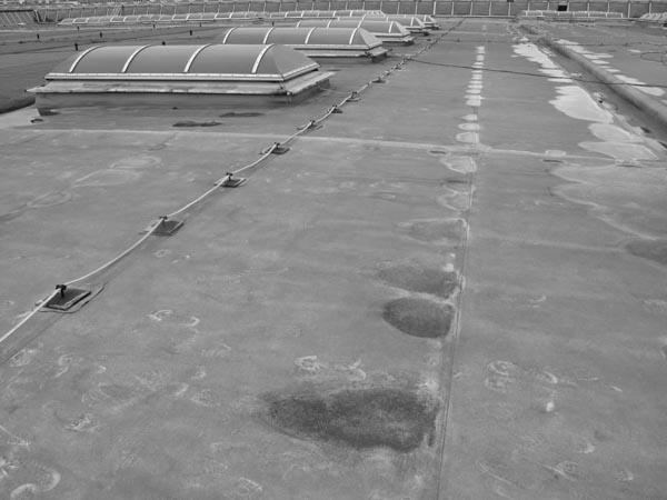 Case Study: SPENS - Sonja Jankov