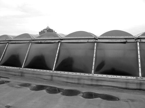 Case Study: SPENS - Sonja Jankov