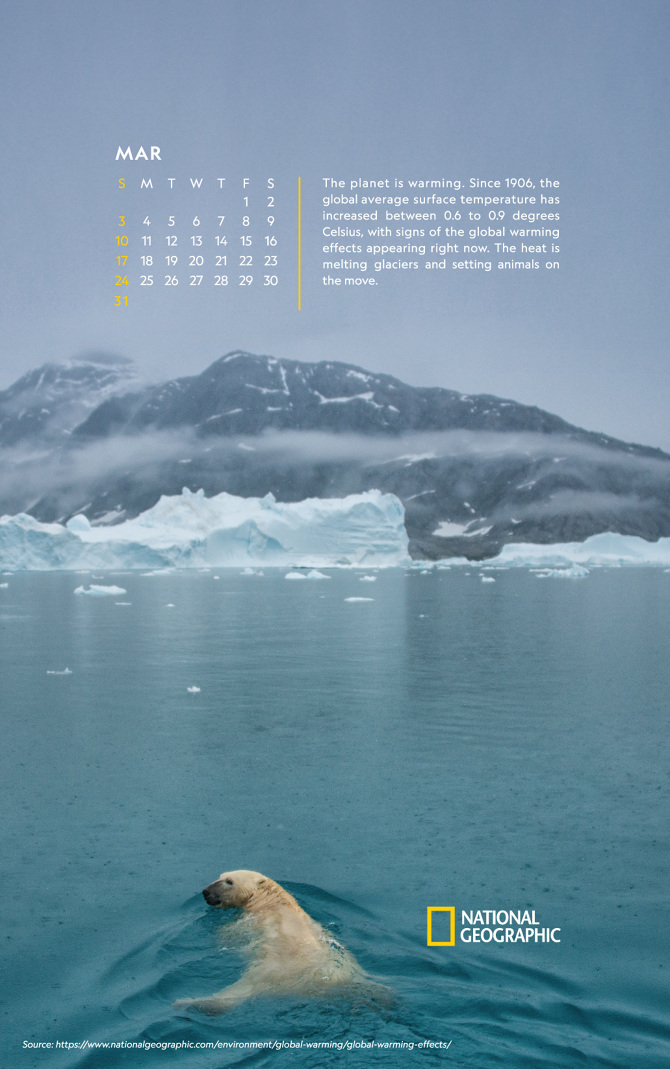 National Geographic Calendar - sungthing like that
