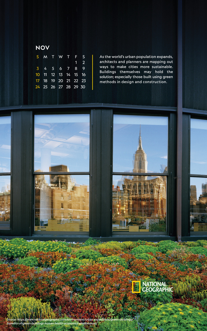 National Geographic Calendar - sungthing like that