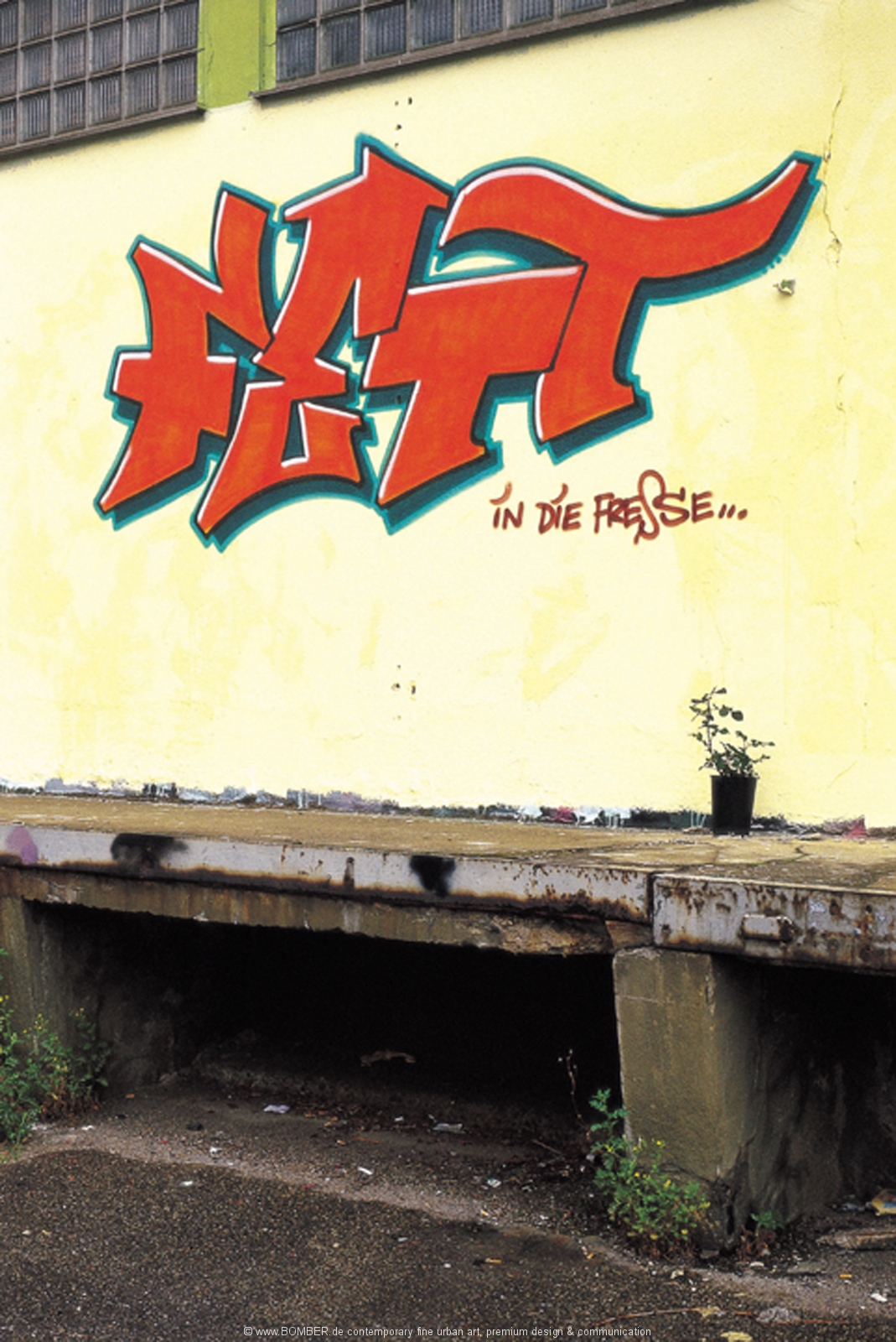 MTV Fett - thomas markert